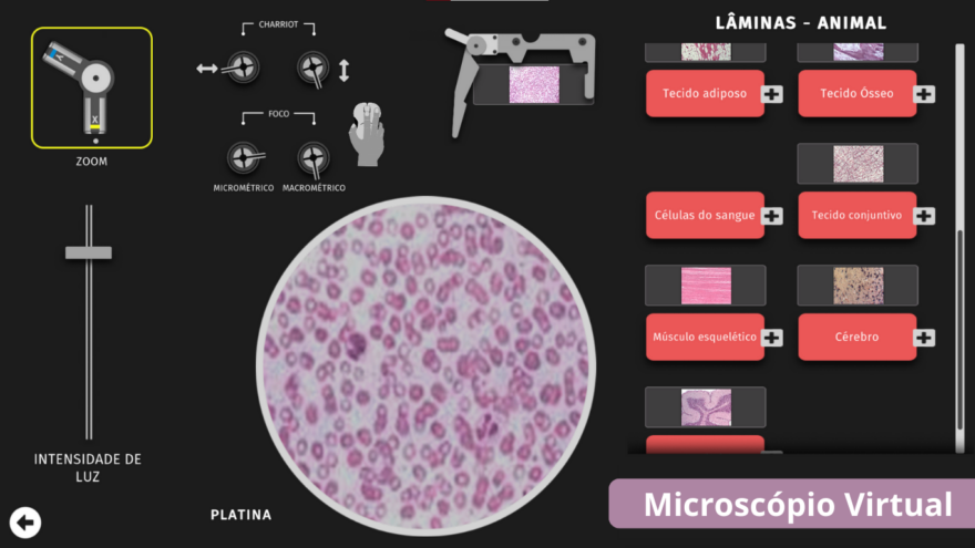 Microscópio Virtual
